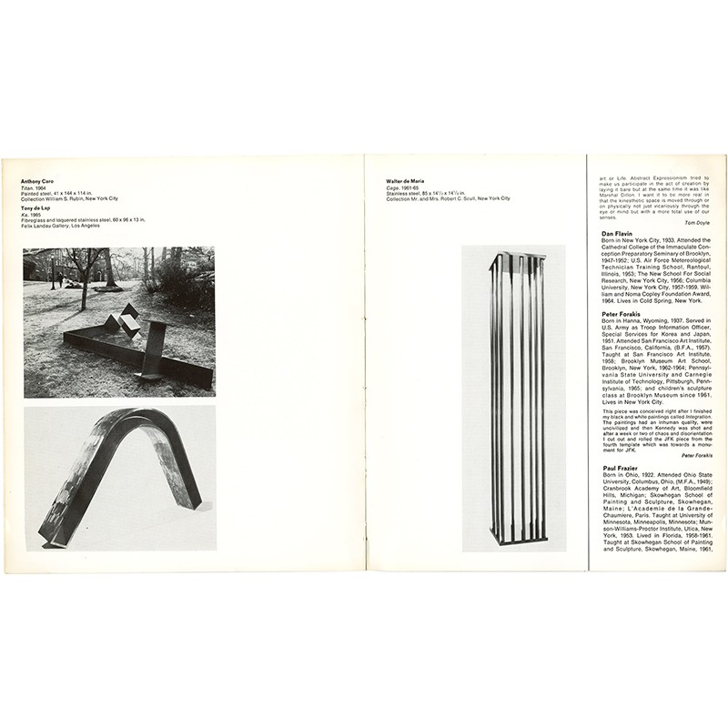 Primary Structures: Younger American and British Sculptors, 1966